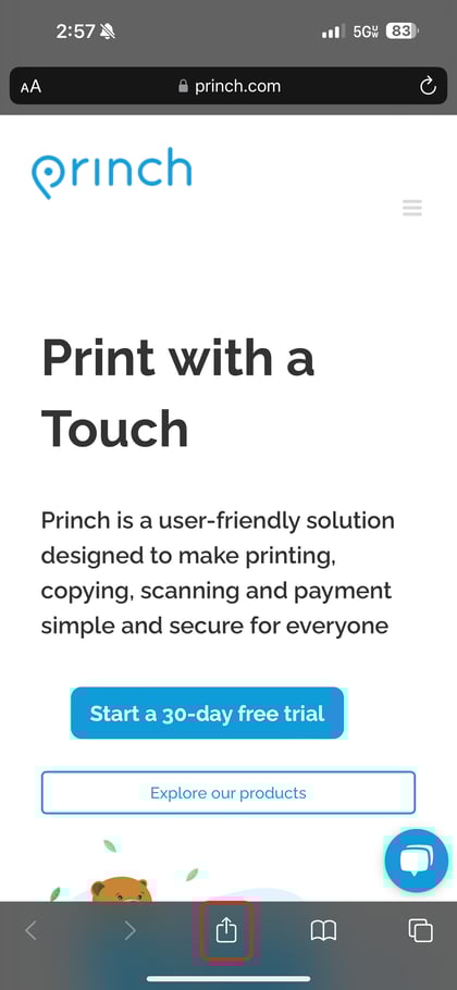 Printing a web page or email on an IOS device using Princh