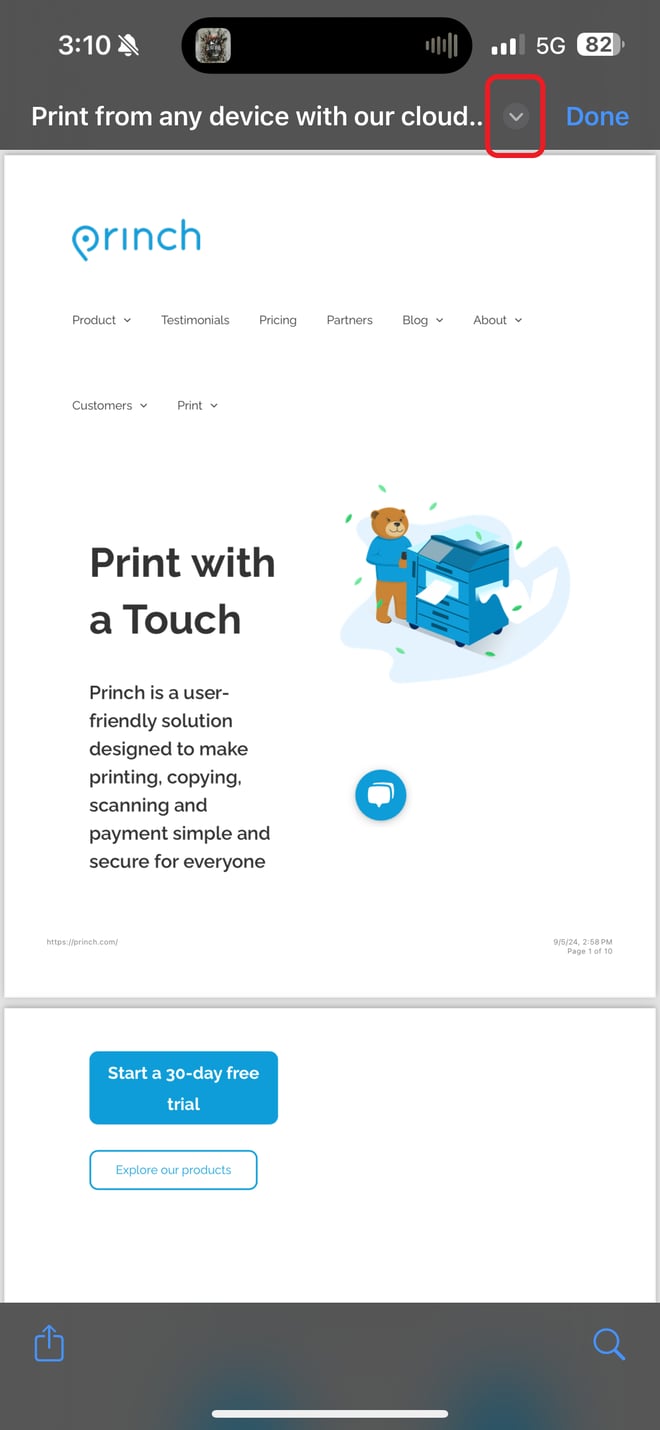 Printing a web page or email on an IOS device using Princh