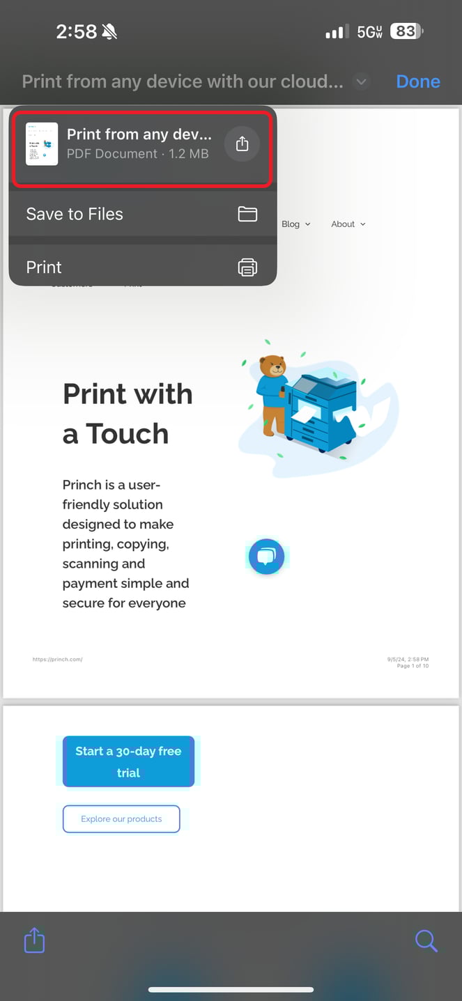 Printing a web page or email on an IOS device using Princh