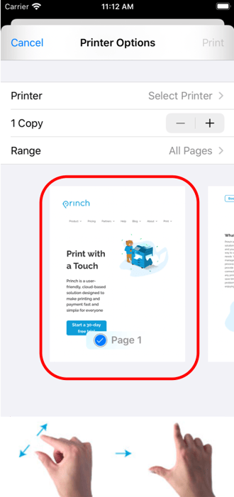 Printing a web page or email on an IOS device using Princh